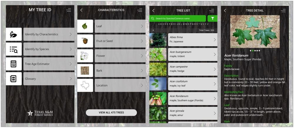 My Tree ID Mobile App
